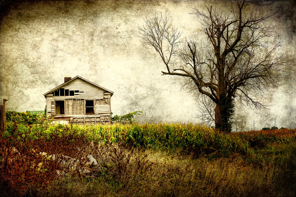 Fiction: Mouse Trap Farm – Retrospect Journal