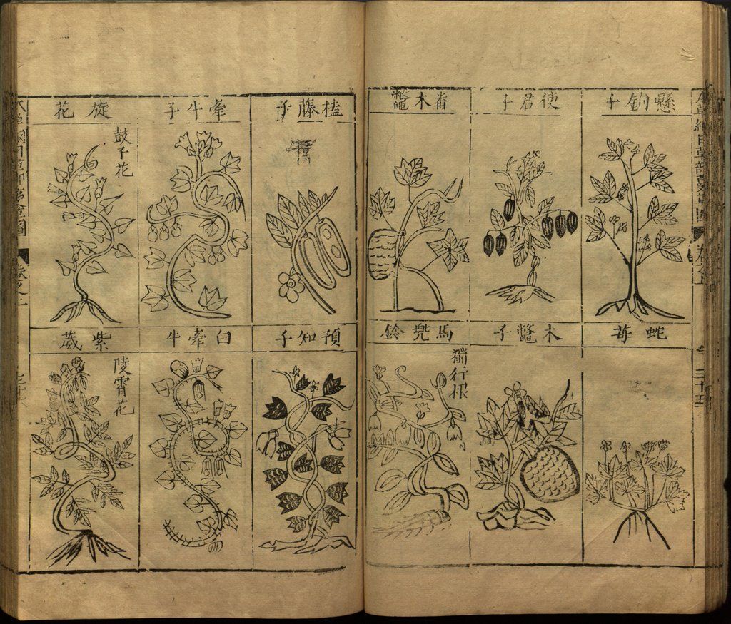 The Impacts of Li Shizhen’s Bencao gangmu – Retrospect Journal