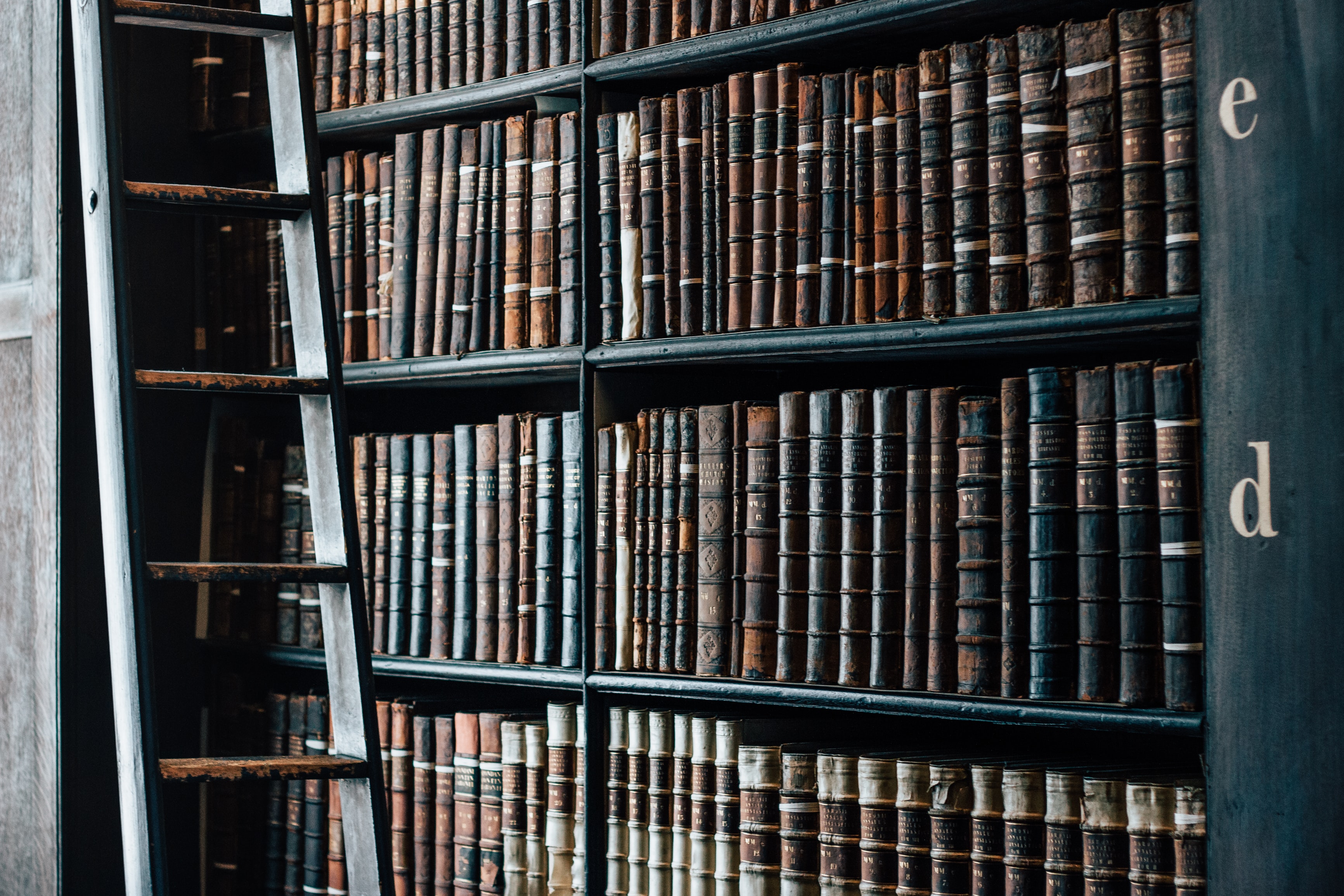 Review: What is History, Now? How the past and present speak to each ...