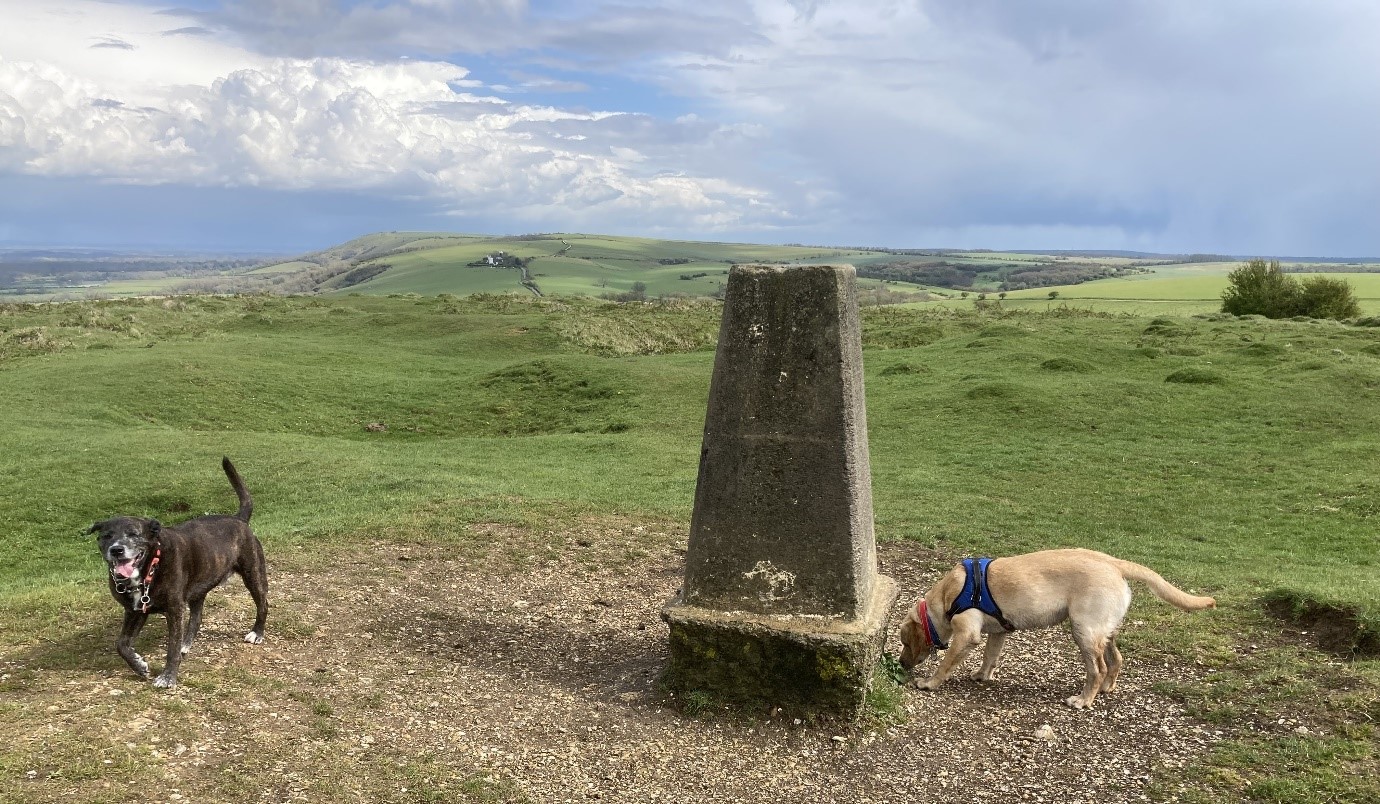 Triangulation Stations: The History of a British Landmark – Retrospect ...