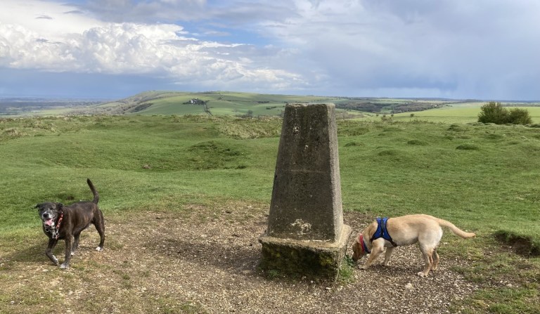 Triangulation Stations: The History of a British Landmark – Retrospect ...