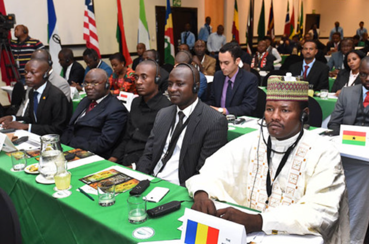 Advancing African Liberation: The Role of Cold War Alliances in ...