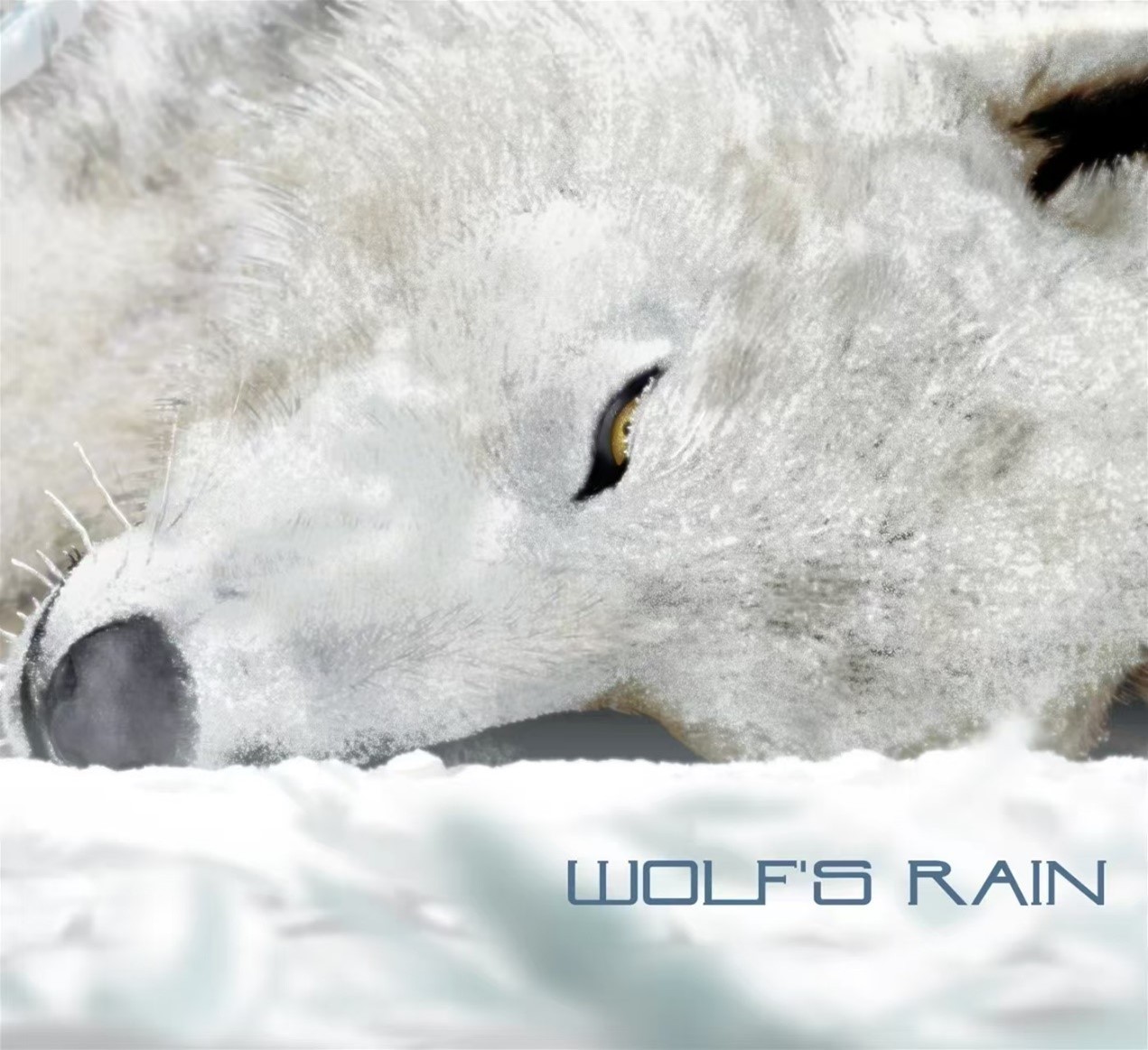 Wolf’s Rain: An Elegy to Lost Dreams – Retrospect Journal